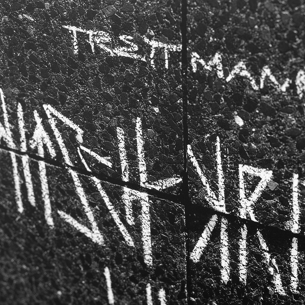 KitschKrieg x Trettmann Trettmann x KitschKrieg Vinyl 2LP | SoulForce ...